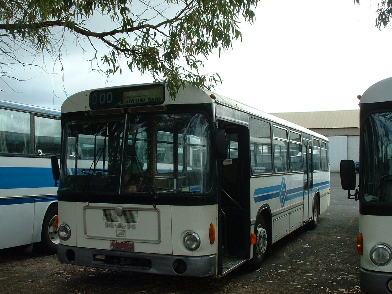 Bunbury City Transit TransBunbury Australia SHOWBUS BUS IMAGE