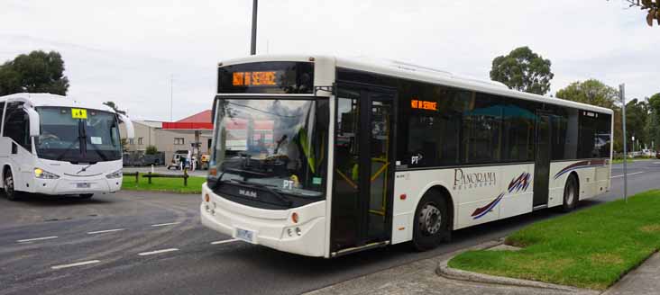 Panorama Coaches - australia.SHOWBUS.com BUS IMAGE GALLERY - Dineen Group