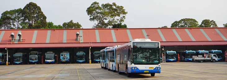 Sydney Buses | Volvo B12BLE Custom CB60 | australia.SHOWBUS.com BUS ...