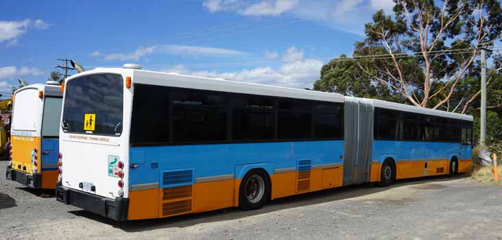 Wisby's of Margate | australia.SHOWBUS.com BUS IMAGE GALLERY