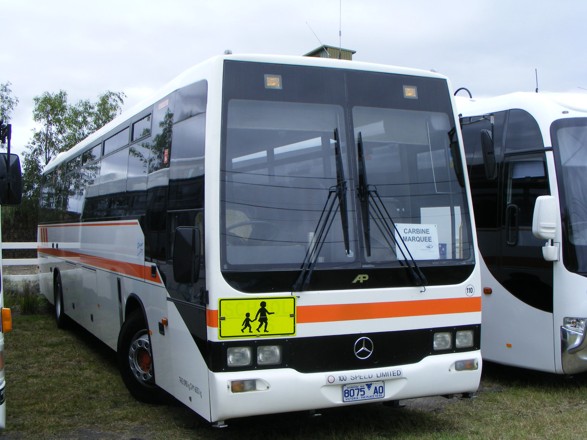 Driver Bus Lines | australia.SHOWBUS.com BUS IMAGE GALLERY
