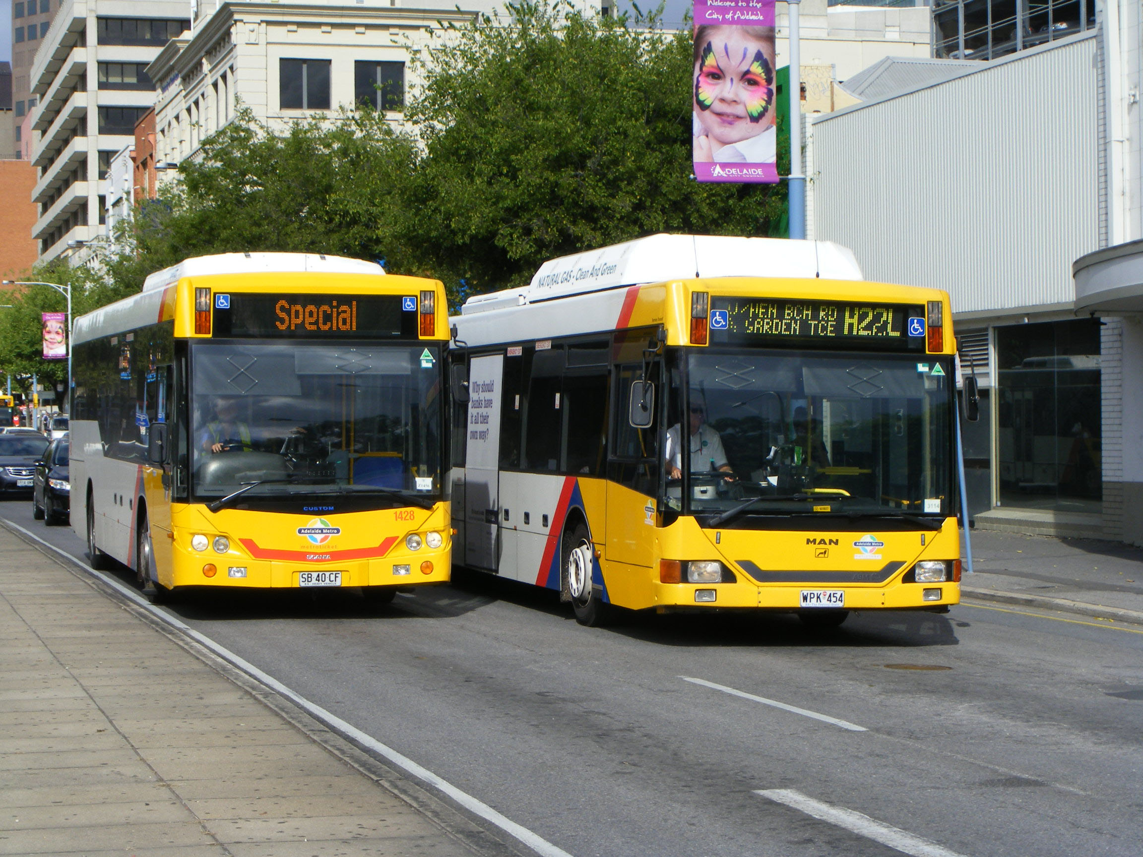 Adelaide Metro Scania rigid buses | australia.SHOWBUS.com BUS IMAGE GALLERY