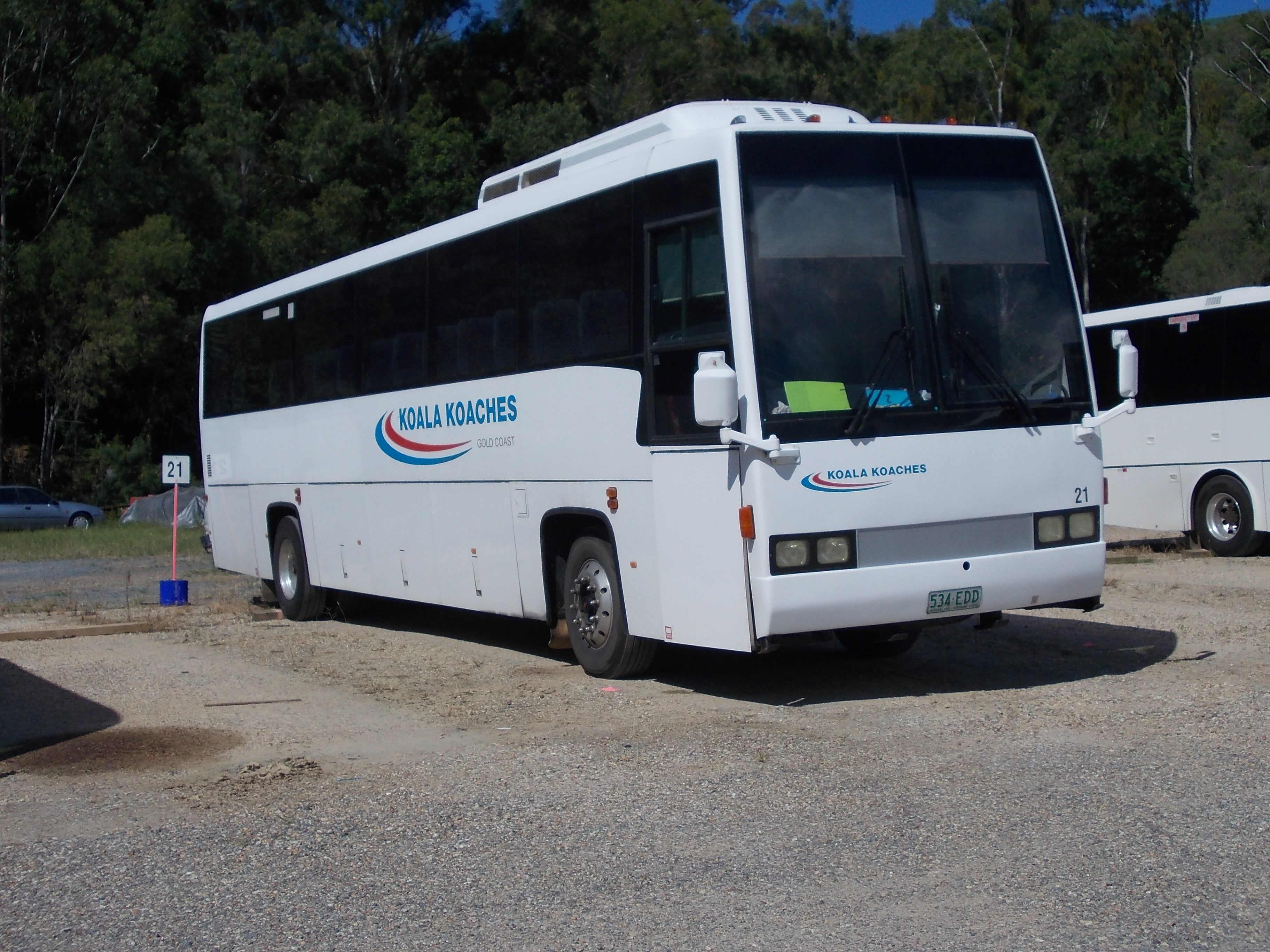 Koala Koaches | australia.SHOWBUS.com BUS IMAGE GALLERY | Queensland