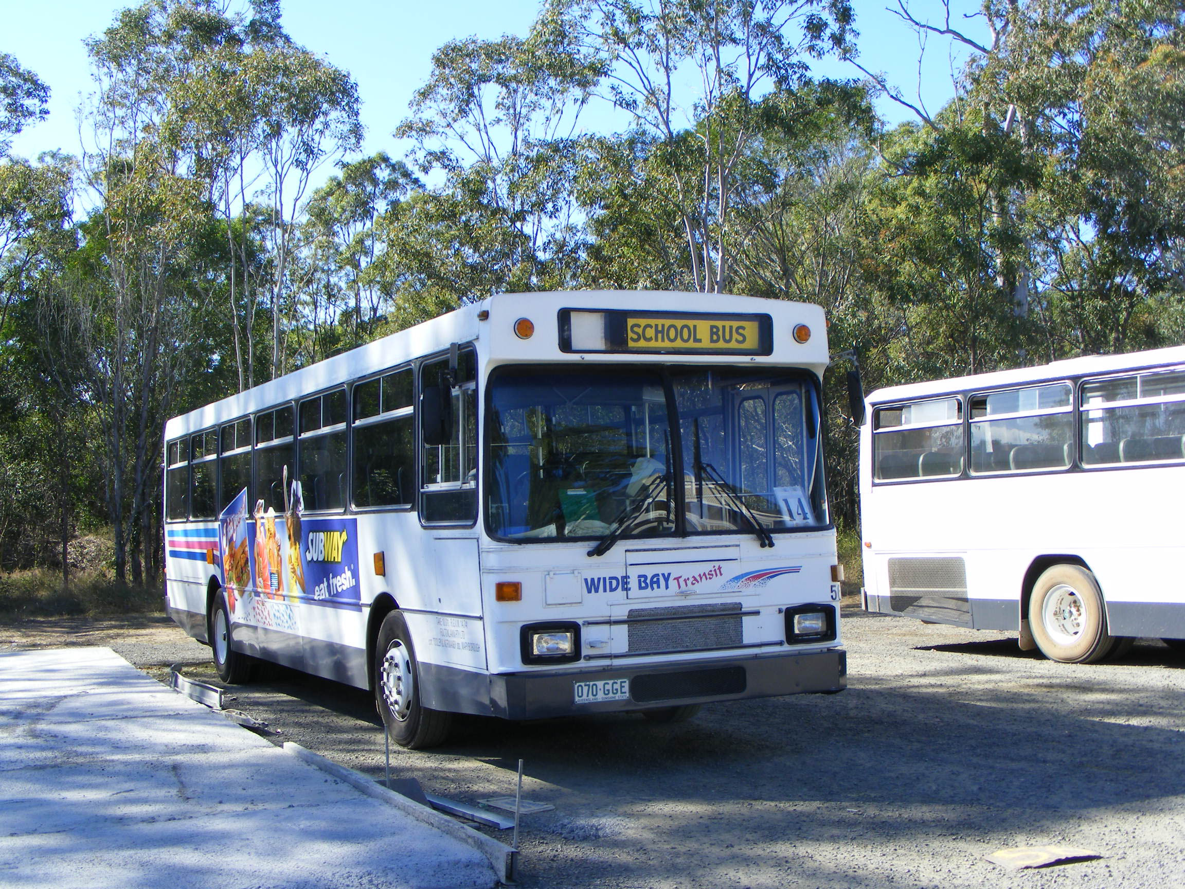 Wide Bay Transit | australia.SHOWBUS.com BUS IMAGE GALLERY | Queensland