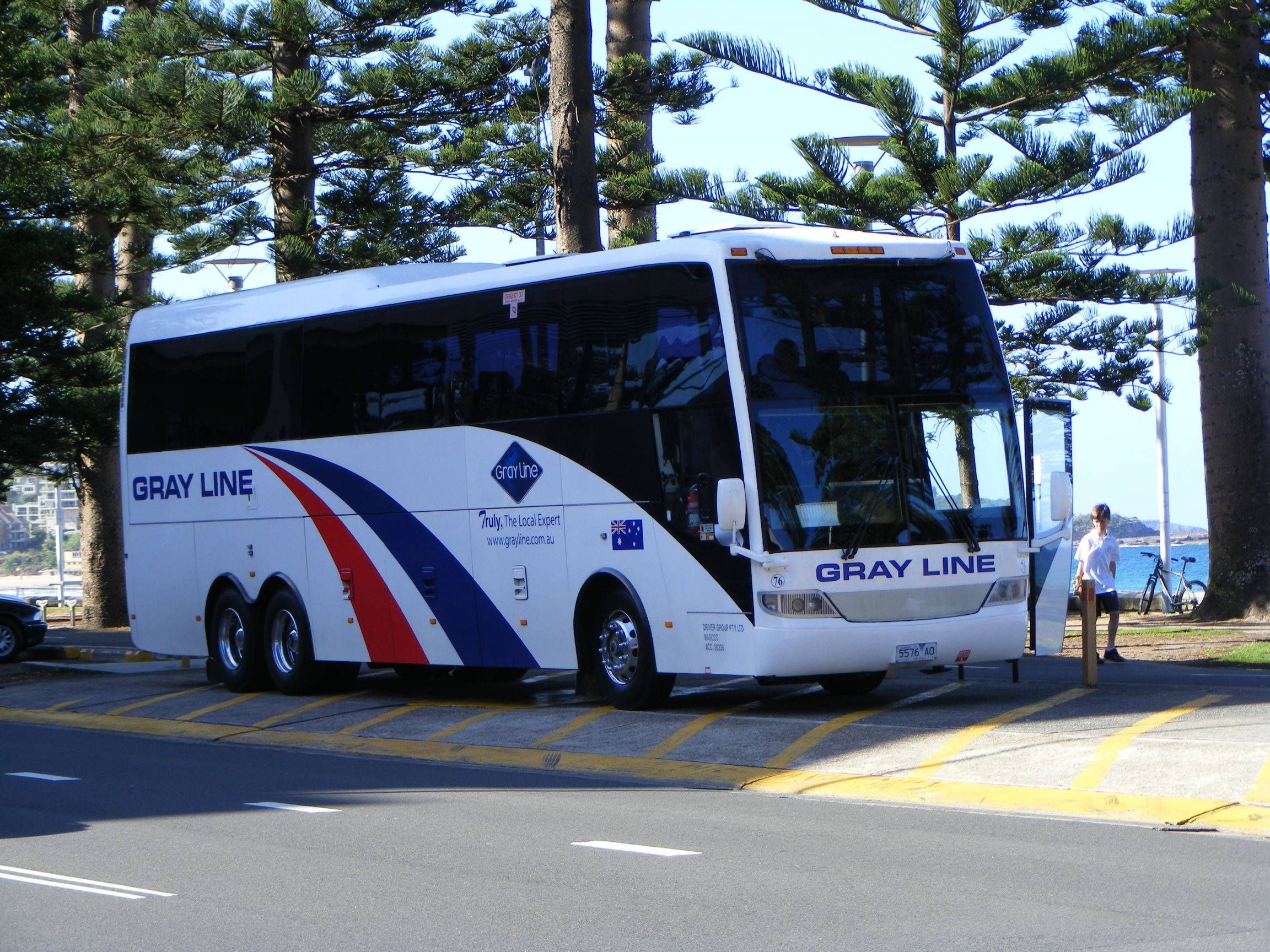 Driver Bus Lines | Gray Line | australia.SHOWBUS.com BUS IMAGE GALLERY