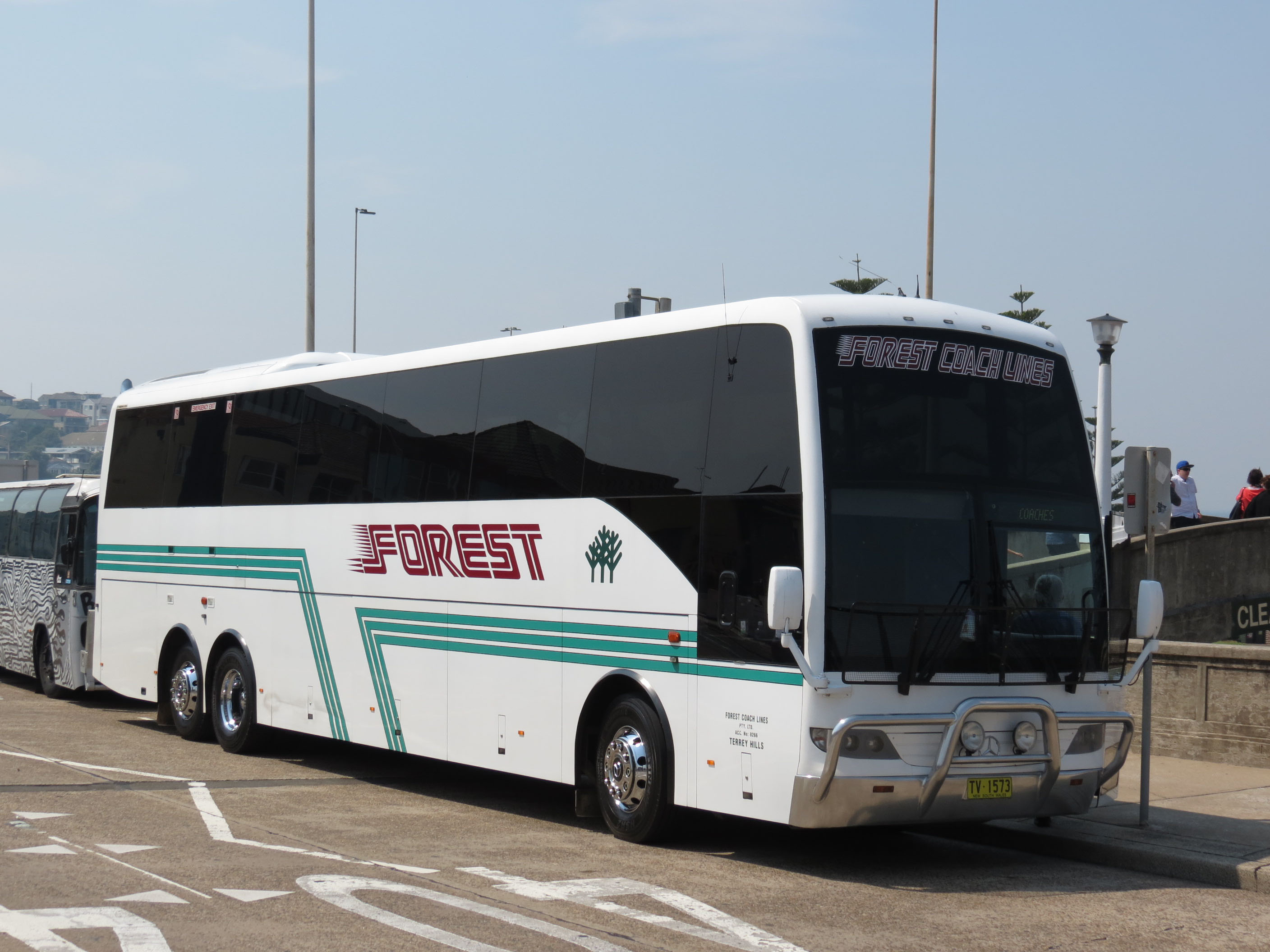 Forest Coach Lines | australia.SHOWBUS.com BUS IMAGE GALLERY