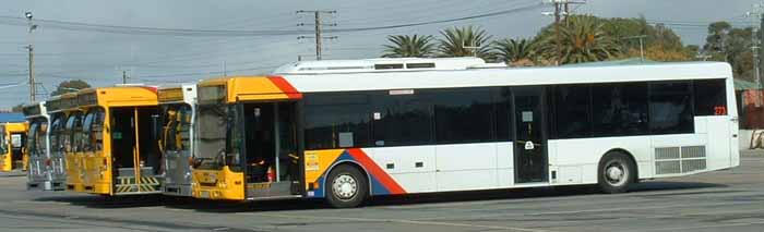 Adelaide Metro MAN rigid buses | australia.SHOWBUS.com PHOTO GALLERY