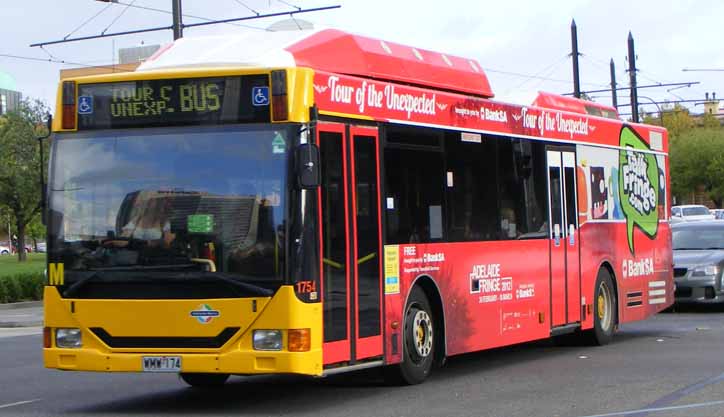 Adelaide Metro MAN rigid buses | australia.SHOWBUS.com PHOTO GALLERY