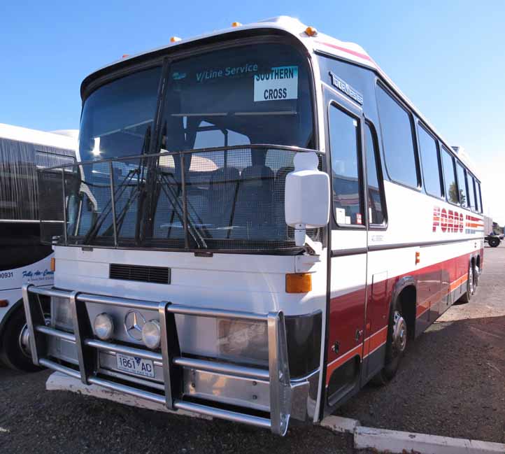 Forest Coach Lines | australia.SHOWBUS.com BUS IMAGE GALLERY