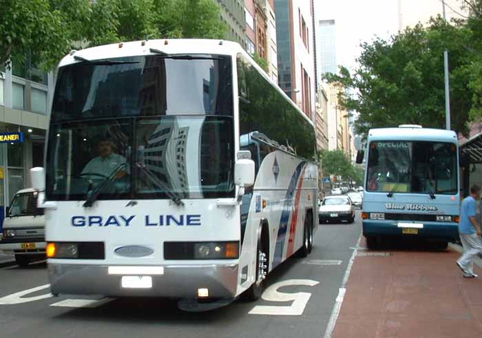 Driver Bus Lines | Gray Line | australia.SHOWBUS.com BUS IMAGE GALLERY