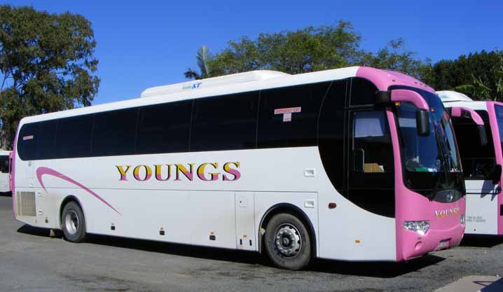 australia.SHOWBUS.com BUS IMAGE GALLERY - Young's Bus Service