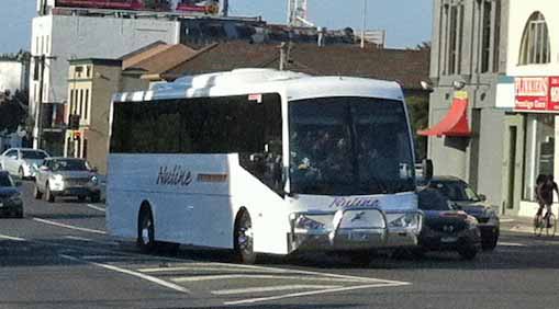Nuline Coaches - australia.SHOWBUS.com BUS IMAGE GALLERY