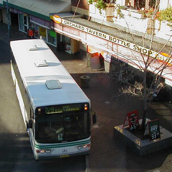 Forest Coach Lines | australia.SHOWBUS.com BUS IMAGE GALLERY