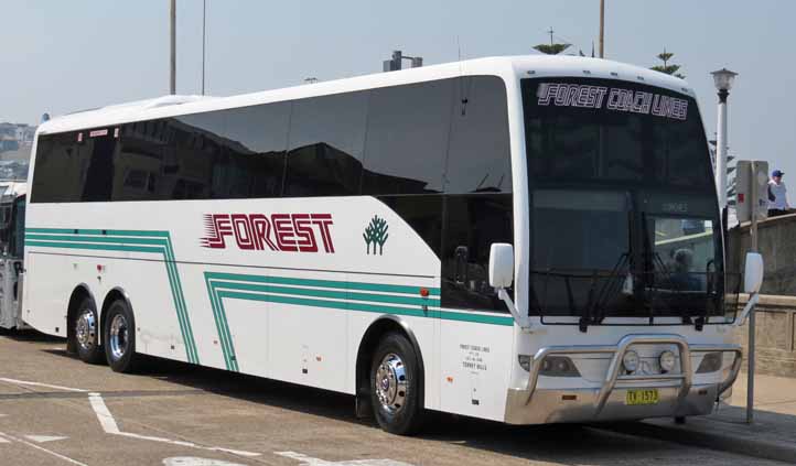 Forest Coach Lines | australia.SHOWBUS.com BUS IMAGE GALLERY