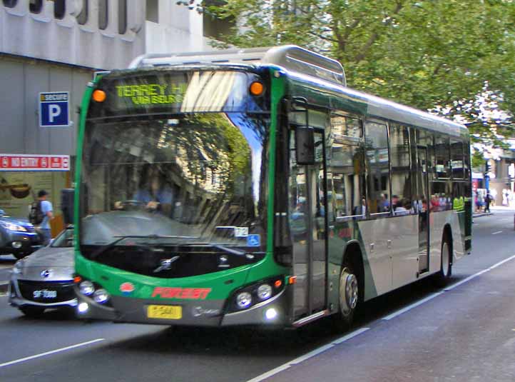 Forest Coach Lines | australia.SHOWBUS.com BUS IMAGE GALLERY