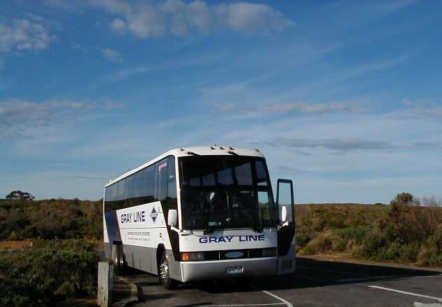 Driver Bus Lines | Gray Line | australia.SHOWBUS.com BUS IMAGE GALLERY