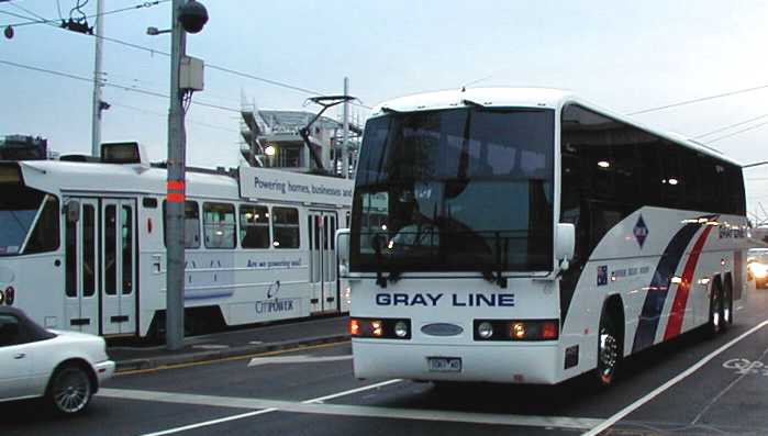 Driver Bus Lines | Gray Line | australia.SHOWBUS.com BUS IMAGE GALLERY