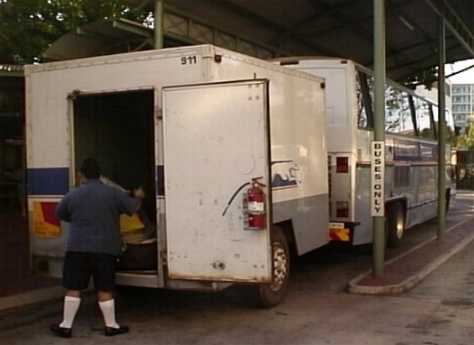 Greyhound Pioneer | australia.SHOWBUS.com BUS IMAGE GALLERY