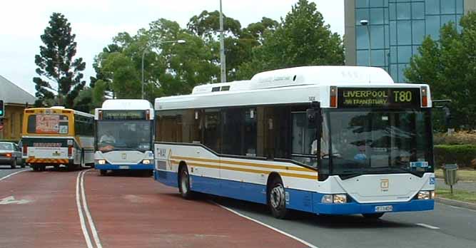 Sydney Buses - australia.SHOWBUS.com BUS IMAGE GALLERY