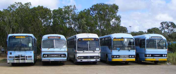 Whitsunday Transit | australia.SHOWBUS.com BUS IMAGE GALLERY
